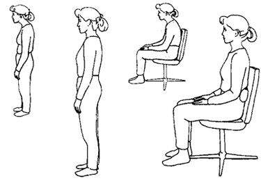 Printable Home Sequences – The Branches